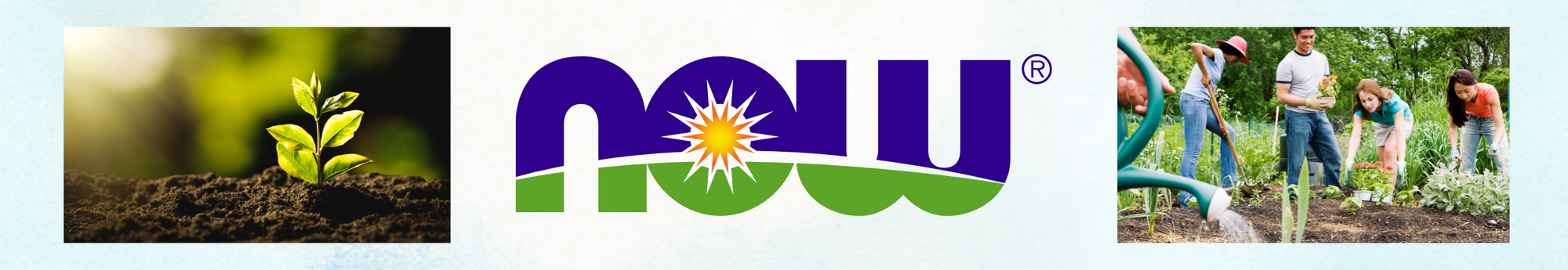 NOW Foods – The Natural Alternative